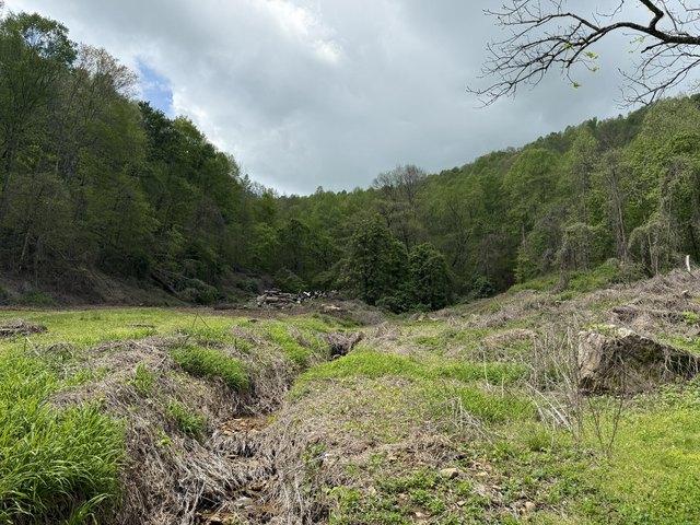 460 Bailey Branch Rd, Walker, KY 40997