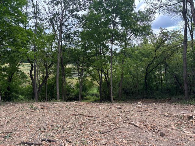 460 Indian Hill Rd, Chanhassen, MN 55317 | MLS #6818