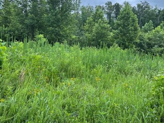 460 Prince Edward Hwy Lot 7, Rice, VA 23966