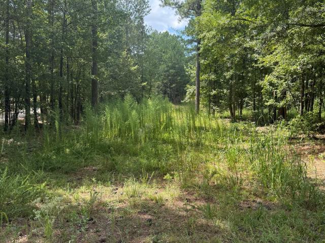 460 Yarbrough Mill RD