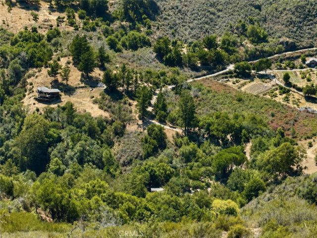 46190 Pfeiffer Ridge