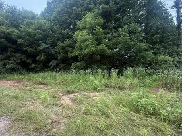 4611 Caton Grove Rd, Cosby, TN 37722