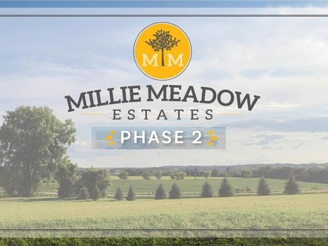 4613 Millie Meadow Dr SW, Rochester, MN 55902