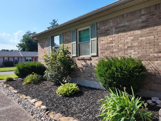 4613 Braves Ln