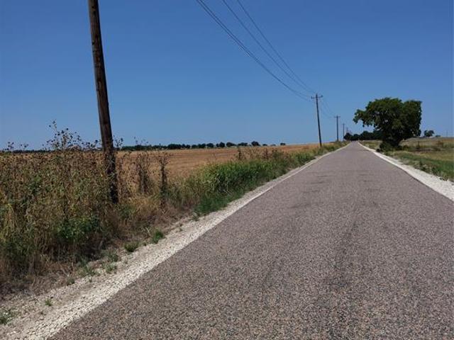 461 County Road 309