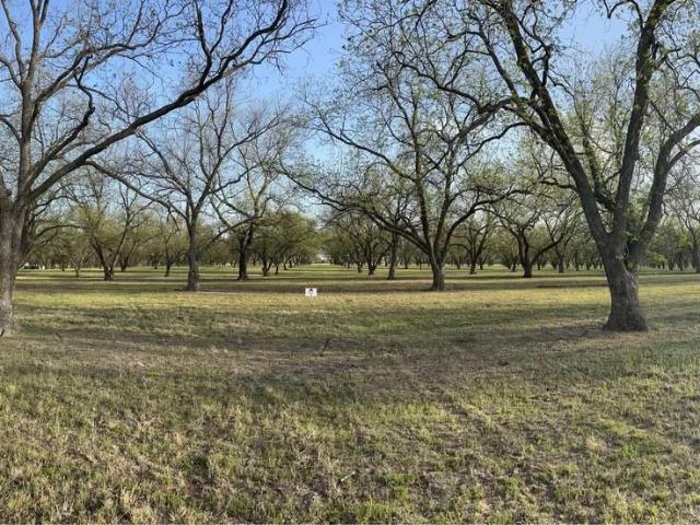 461 County Road 461, Gorman, TX 76454 | MLS #21152