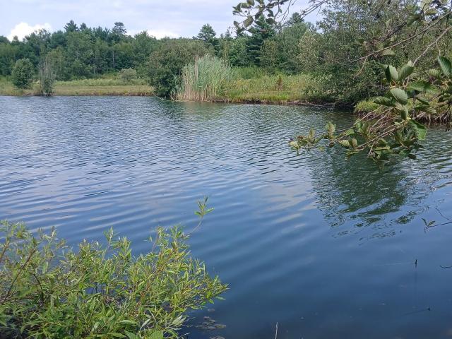 461 Bog Road