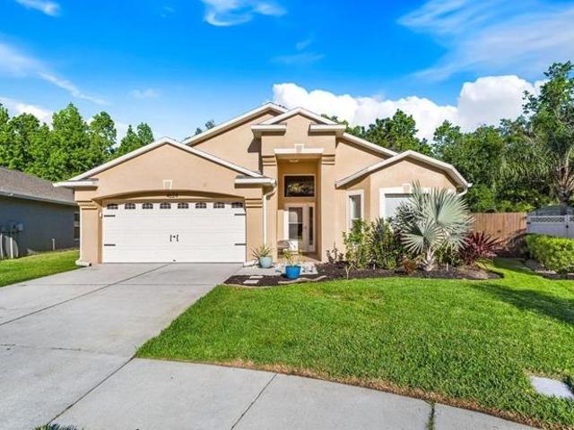 4624 Barchetta Dr, Land O Lakes, FL 34639