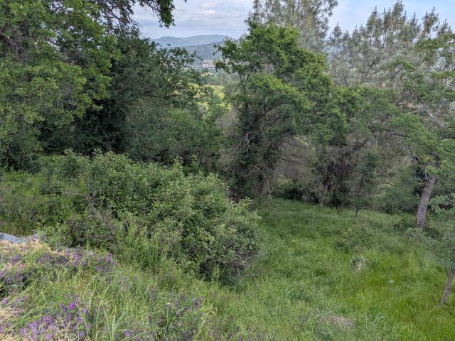 4625 Bayview Dr, Copperopolis, CA 95228 | MLS #226600 | Compass