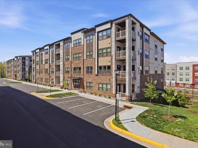 46294 Mount Milstead Terrace # 103