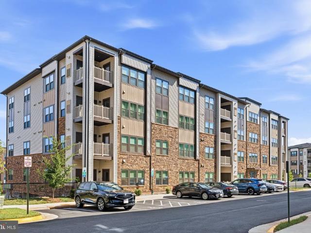 46294 Mount Milstead Terrace # 101