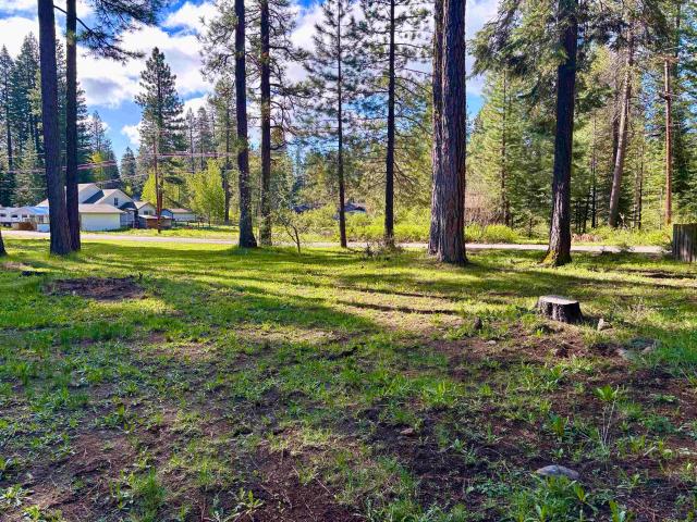 462 930 Clear Creek Dr, Clear Creek, CA 96137 | MLS #20250