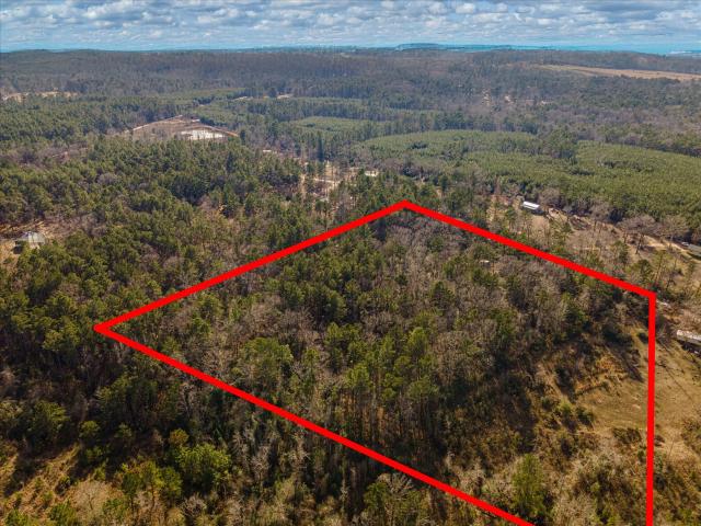 462 County Road 1172