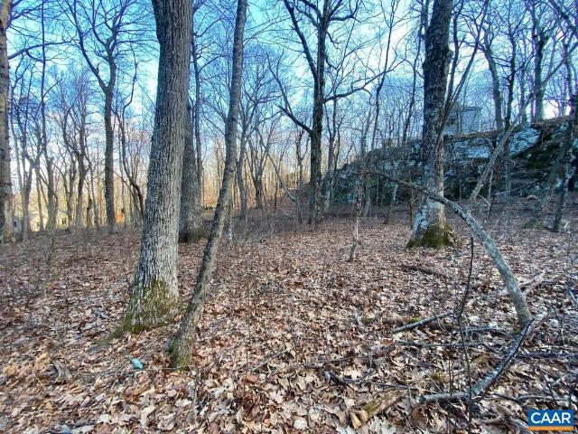 462 Deer Springs Ln # 101