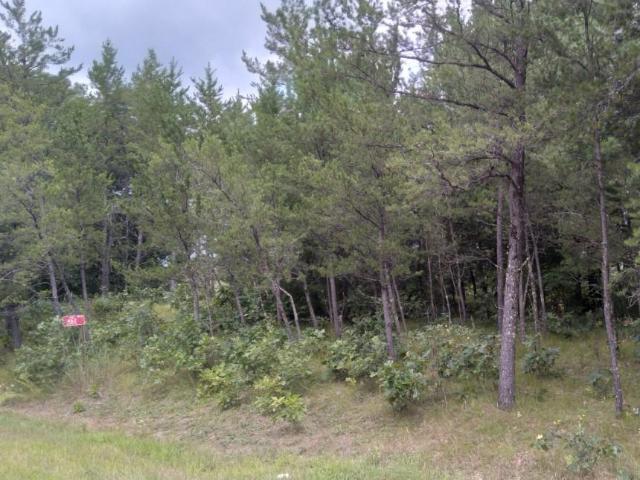 462 Duffers Trail, Nekoosa, WI 54457 | MLS #2016