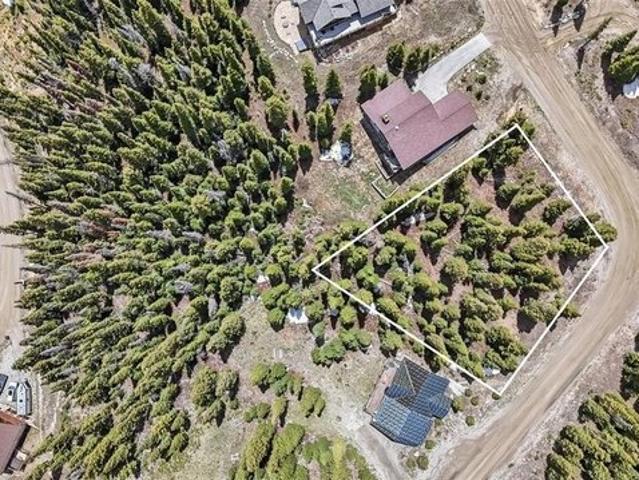 462 Kimmes Ln Lot 25, Breckenridge, CO 80424