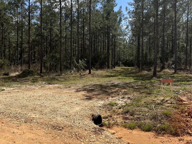 462 Timber Rd, Livingston, TX 77351 | MLS #20650 | Compass