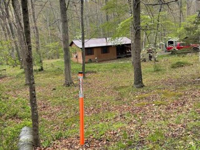 462 Trout Stream Rd, Lost City, WV 26810
