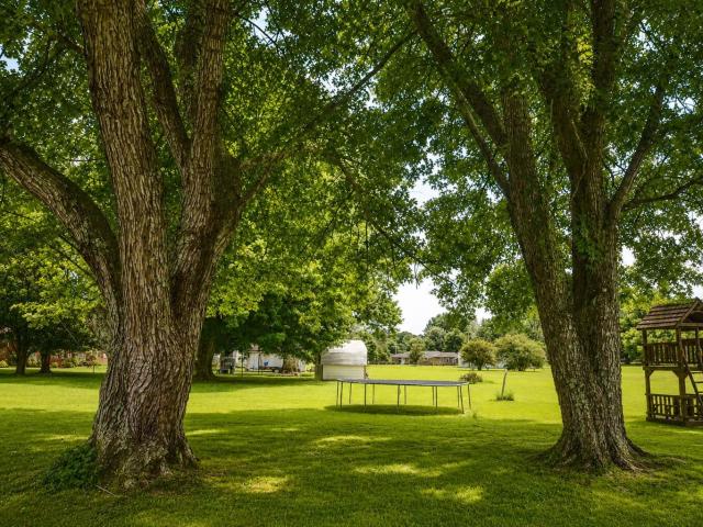4635 Co Rd 48