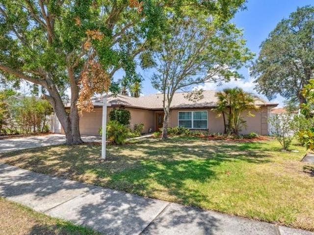 4636 Bay Crest Dr, Tampa, FL 33615
