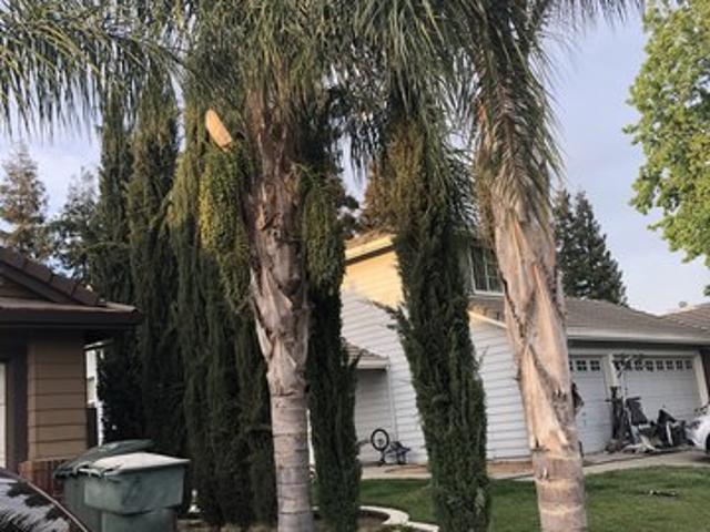 4637 Castle Cary Ln, Salida, CA 95368