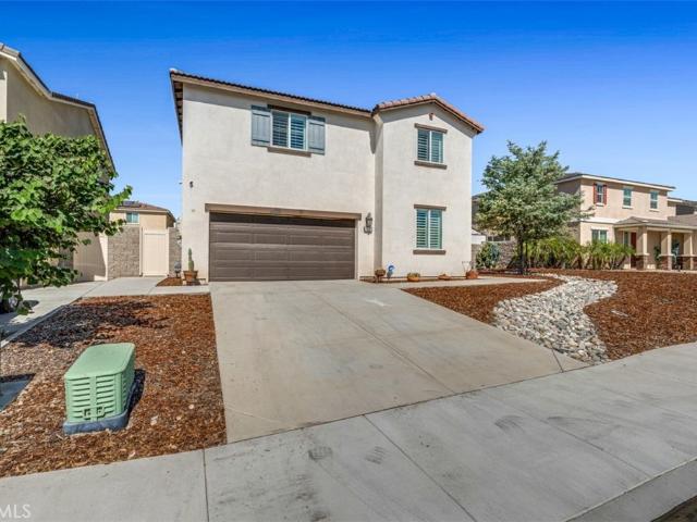 4637 Snap Dragon