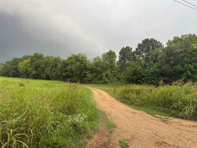 463 County Road 352