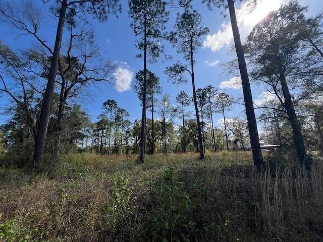 463 Salt Creek Way E Unit 94R, Brunswick, GA 31523