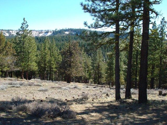 463 Quail Run Lot 109, Portola, CA 96122