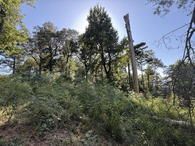 4645 Carters Ferry Rd E, Milam, TX 75959