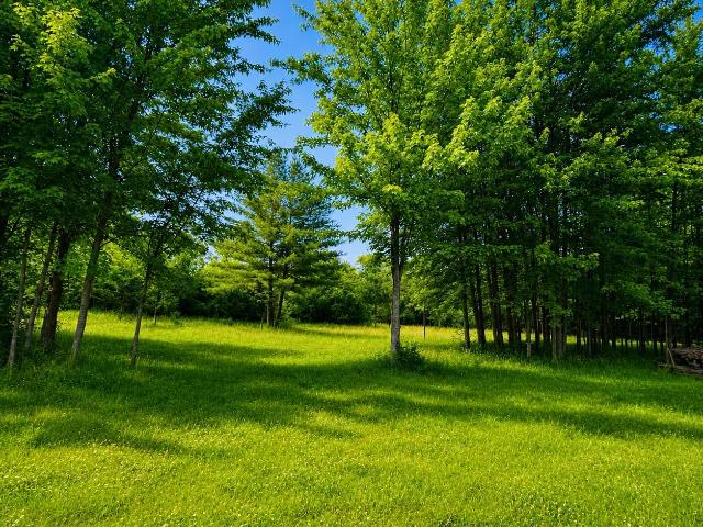 4645 S 3 Mile Road