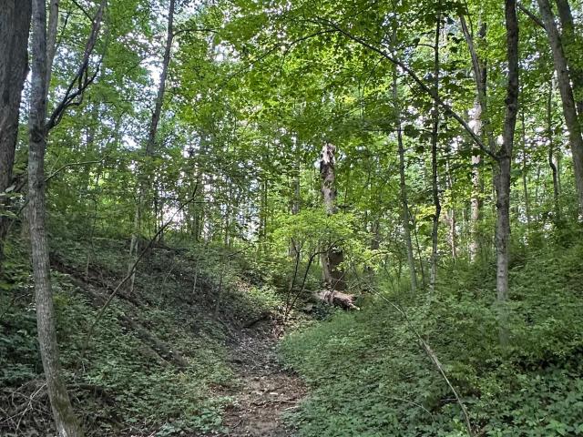 4645 S West County Line Road