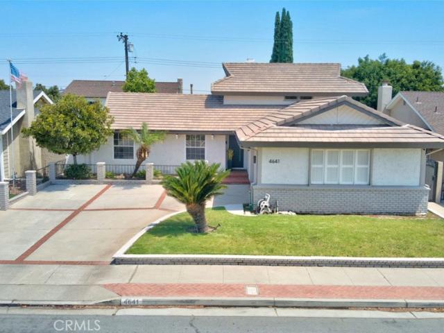 4641 Newman