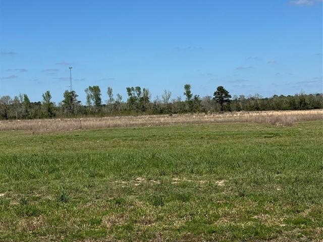 464 County Road 2278, Cleveland, TX 77327 | MLS #32360