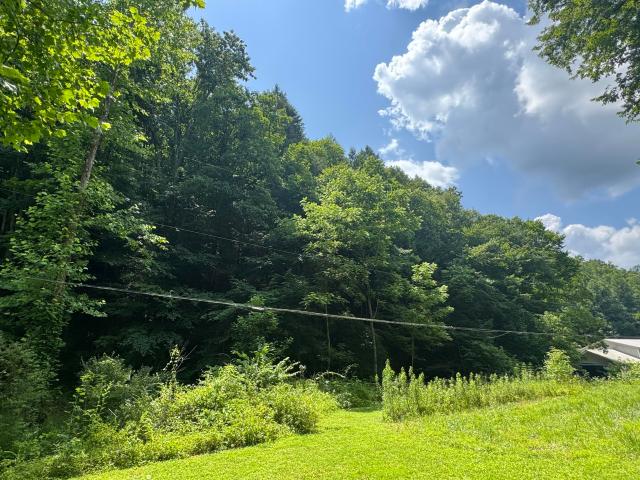 464 Big Branch Road