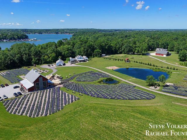 464 Stanton Farms Drive