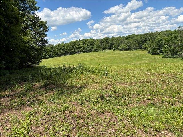 464 Reservoir Hill Rd, Norwich, NY 13815