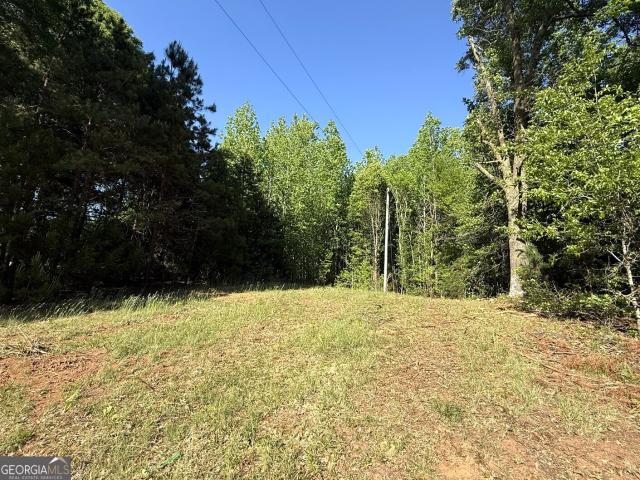 4655 Highway 29, Royston, GA 30662 | MLS #10735