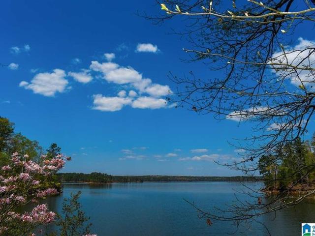 4650 County Road 804 Lot 152/153, Wedowee, AL 36278