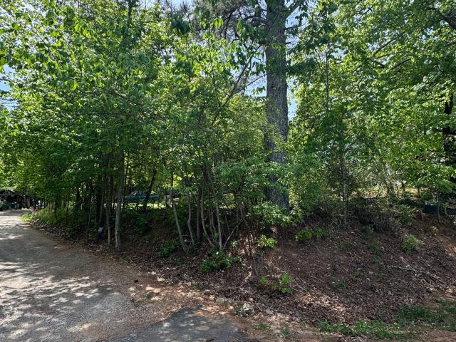 4652 Woodlane Drive