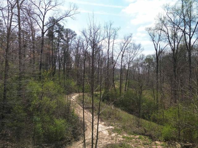 465 Co Rd 1568