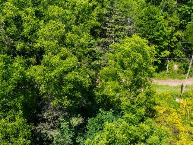 465 Halls Hollow Rd