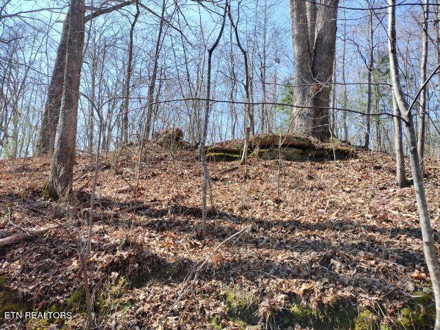 465 Huse Watson Rd