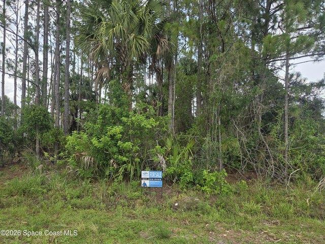 465 Tillman Ave SW, Palm Bay, FL 32908