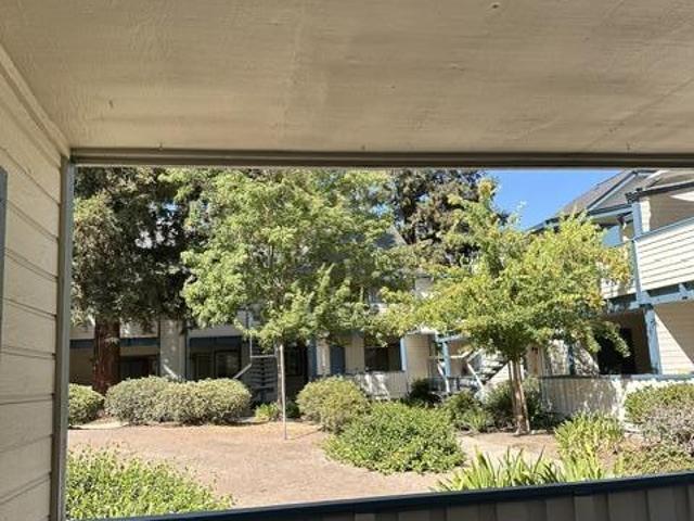 46666 Winema Common