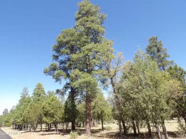 4674 Stargazer Dr #163, Happy Jack, AZ 86024 MLS 6741239