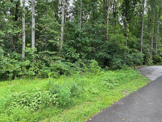 4672 Heath Rd, Nashville, TN 37221
