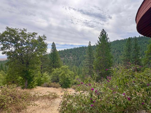 467 495 Baxter Creek Road