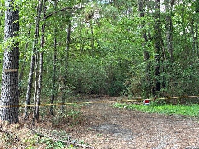 467 Jape Massingill Ln Lot 764, Diboll, TX 75941