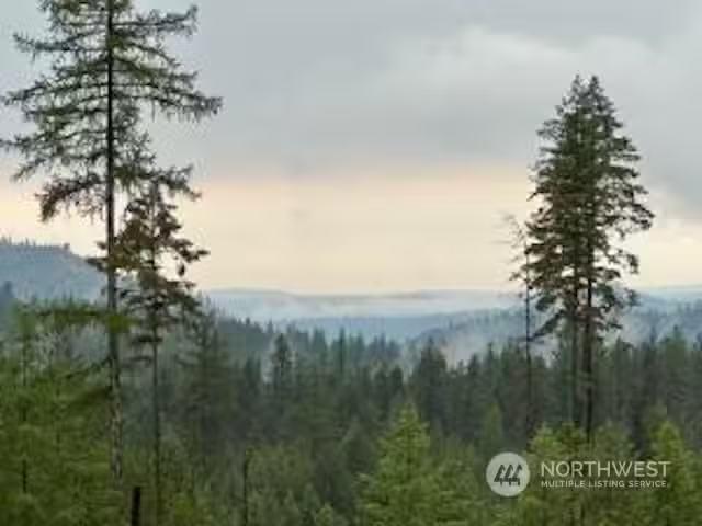 4684 lot A Grouse Creek Road, Chewelah, WA 99109